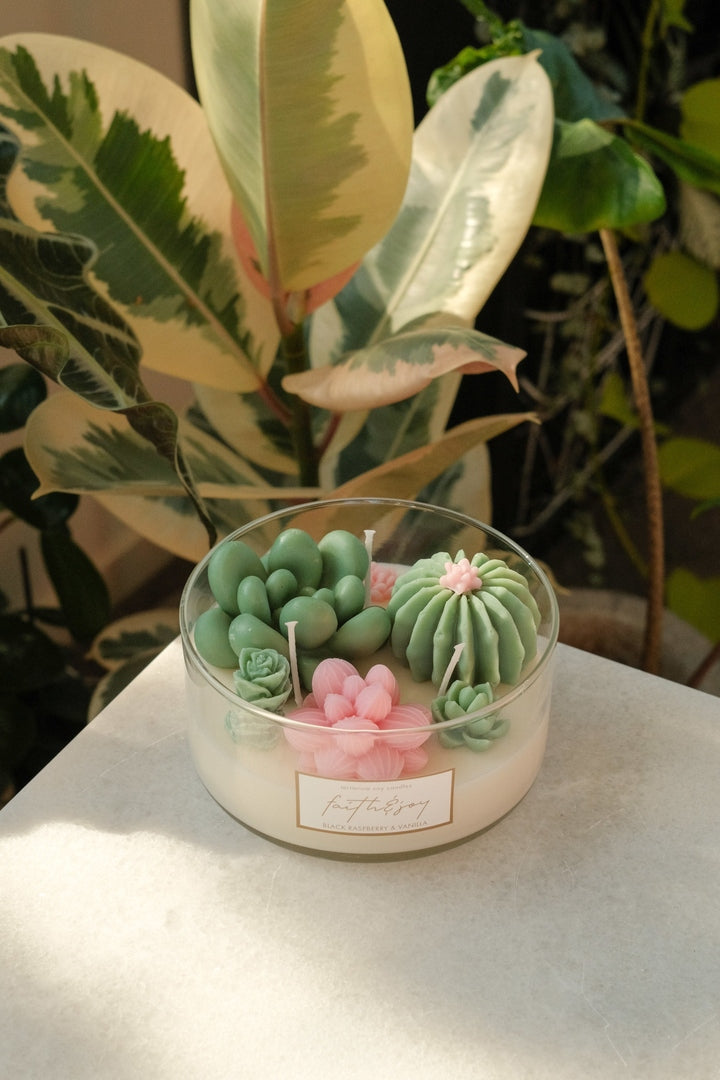 Award Winning Succulent Terrarium Candles NZ | faith&joy
