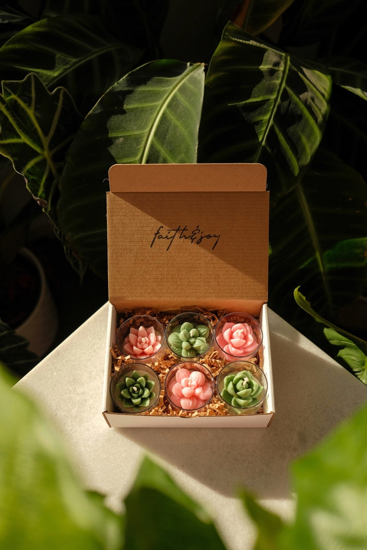 Award Winning Succulent Terrarium Candles NZ | faith&joy