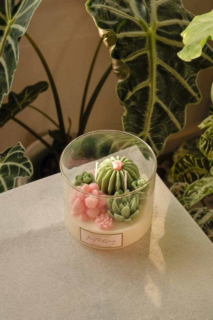 Terrarium Candles | faith&joy - Decorative Soy Candles