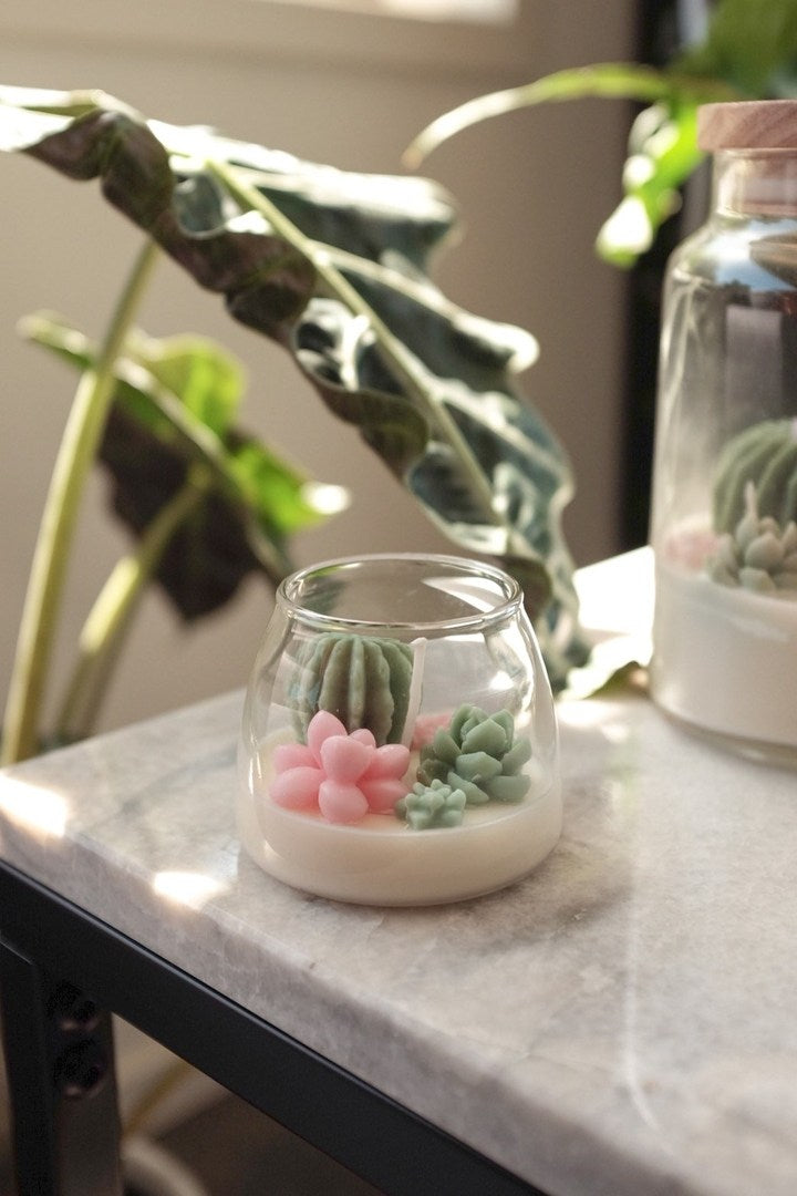 Terrarium Candles | faith&joy - Decorative Soy Candles